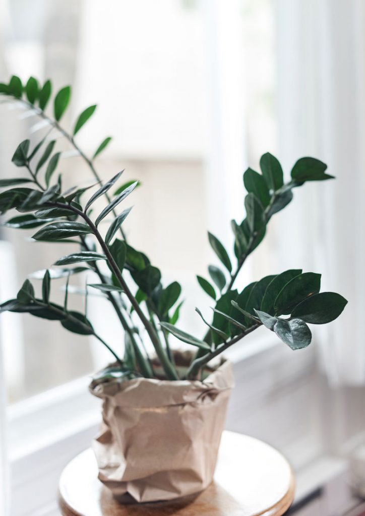 About Roseland Flower - Roseland Flower & Nursery